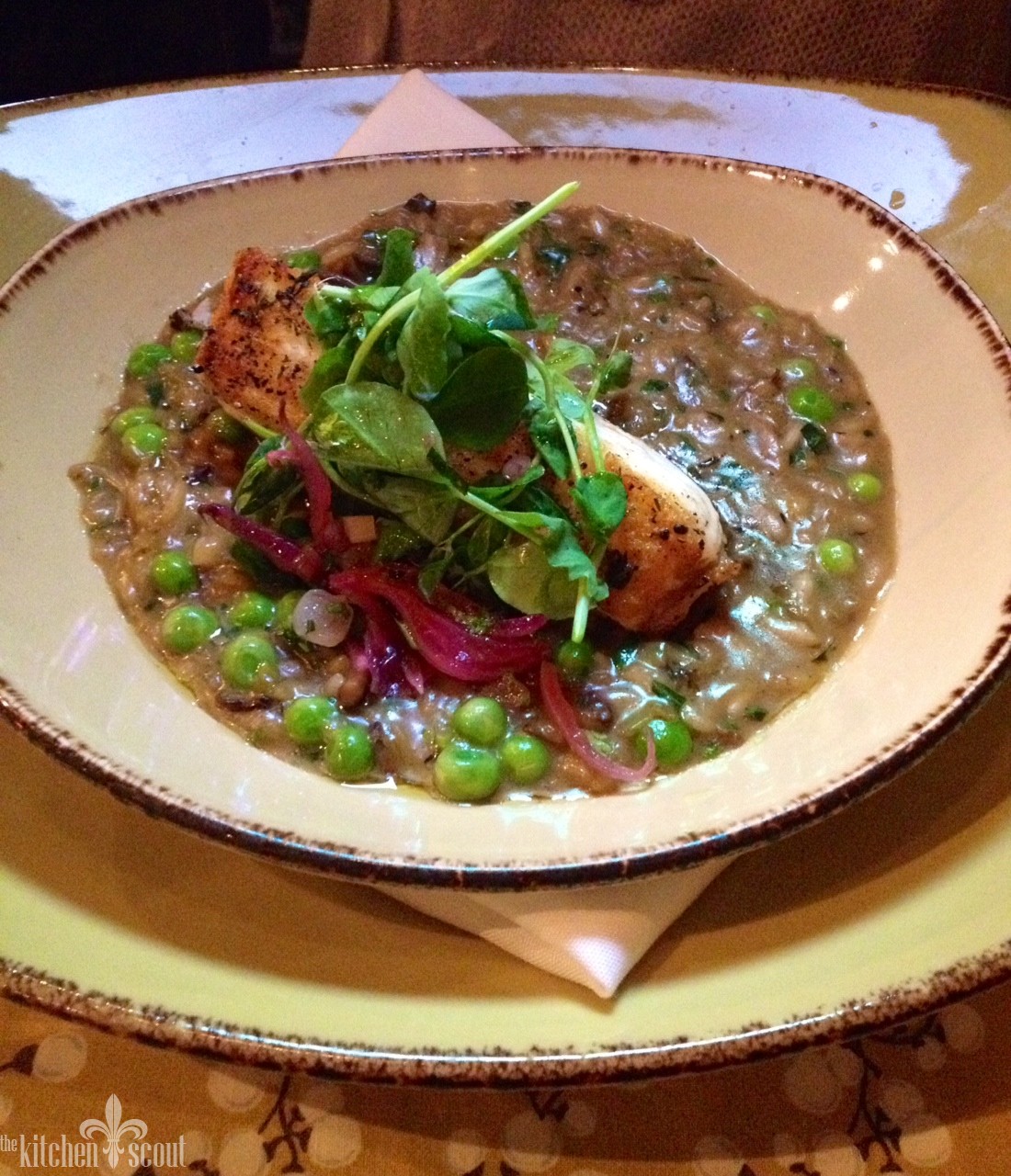 Giulia | The Kitchen Scout