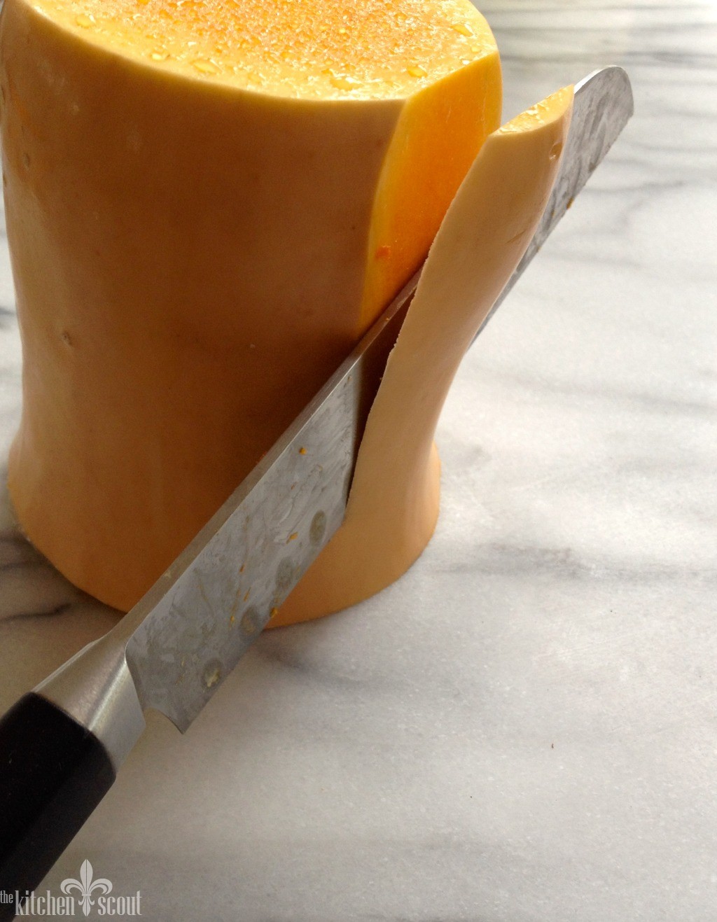 Butternut Squash Risotto | The Kitchen Scout