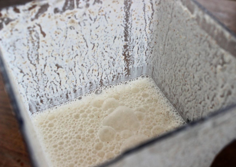 Homemade Almond Milk | The Kitchen Scout