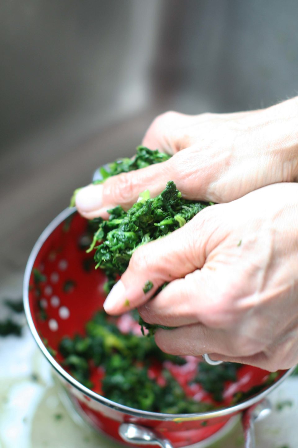 Armenian Spinach and Cheese Phyllo Pie (Sou-Beoreg) | The Kitchen Scout